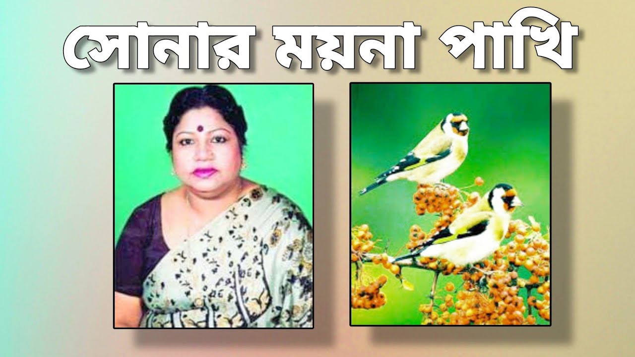 আমার সোনার ময়না পাখি | নীনা হামিদ স্মরণে গান | Amar Sonar Moyna Pakhi ...