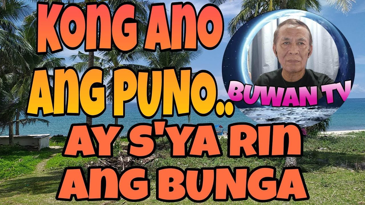Kong Ano ang PUNO ay s'ya rin ang BUNGA / @TorqueWrenchzTV - YouTube