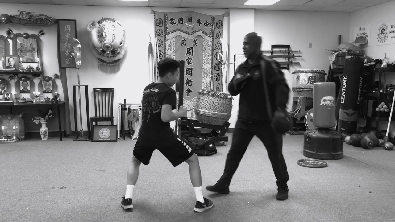Jow Ga Kung Fu Sunday Fun Day Training - YouTube