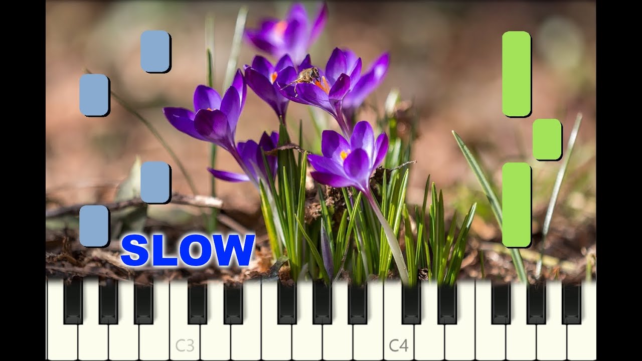 SLOW SUPER EASY piano tutorial "IN MAY" classic for beginners, Franz ...