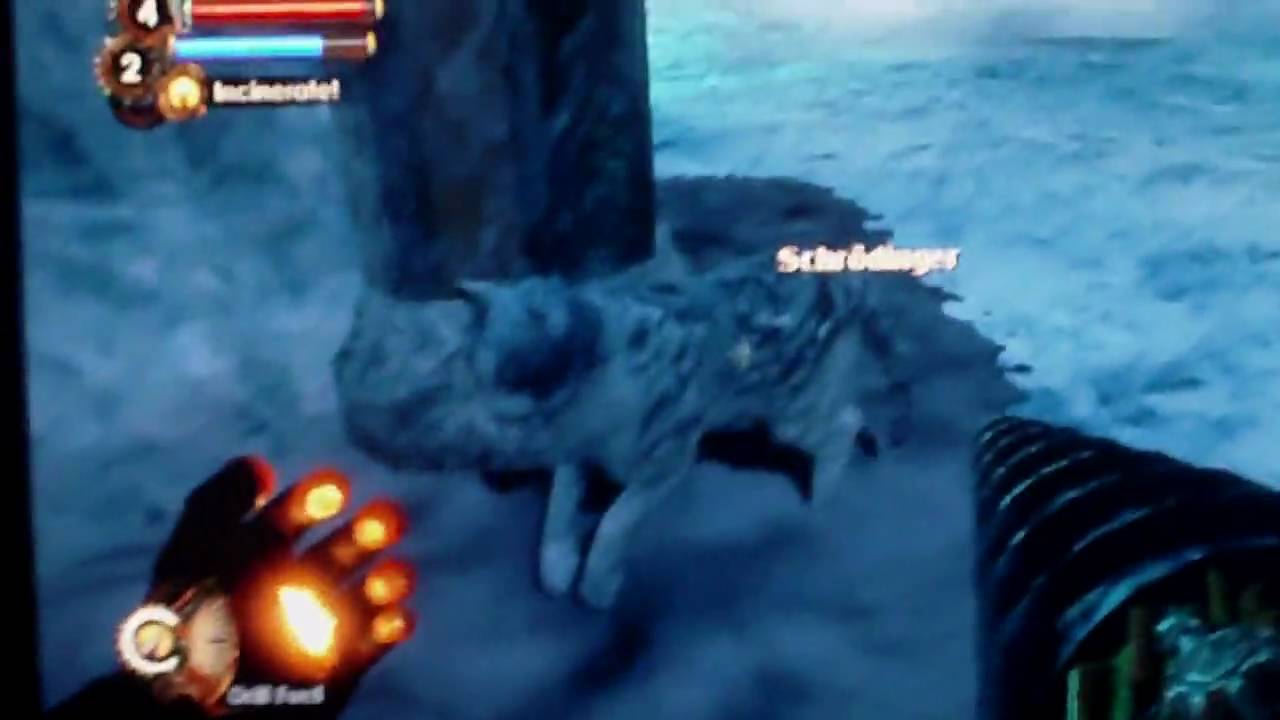 Bioshock 2 Frozen Cat easter egg - YouTube