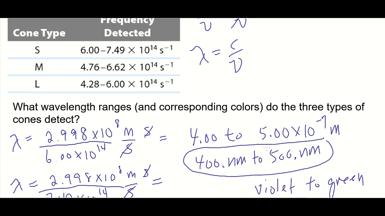 #50 - What wavelength ranges (and corresponding colors) do the three ...
