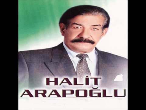 Halit Arapoğlu - Divane Gönlüm (Deka Müzik)