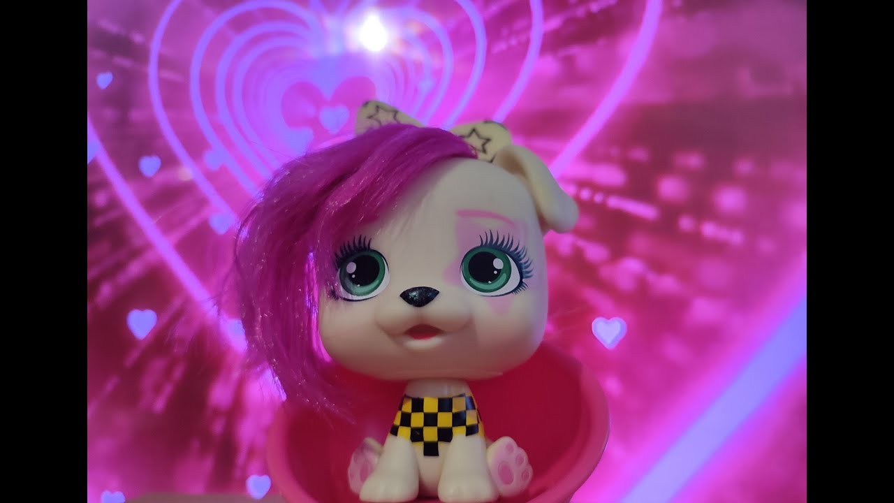 Vip pets Gwen - YouTube