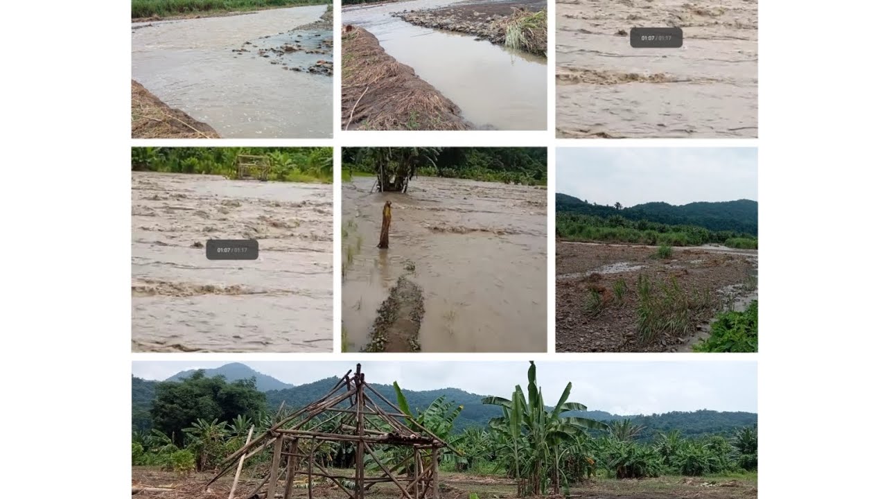Water flood destroyed paddy field near nzhyu valley - YouTube