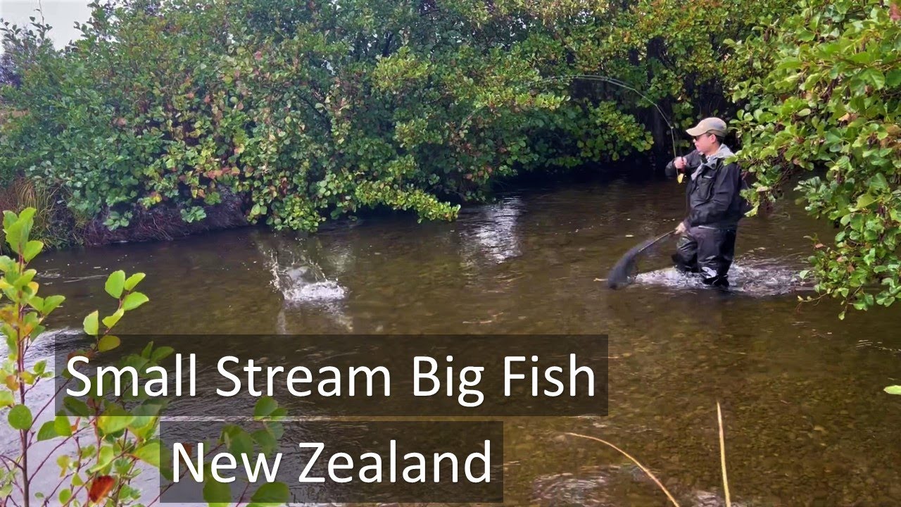 Small Stream Big Fish - End of Season Part 2 - YouTube