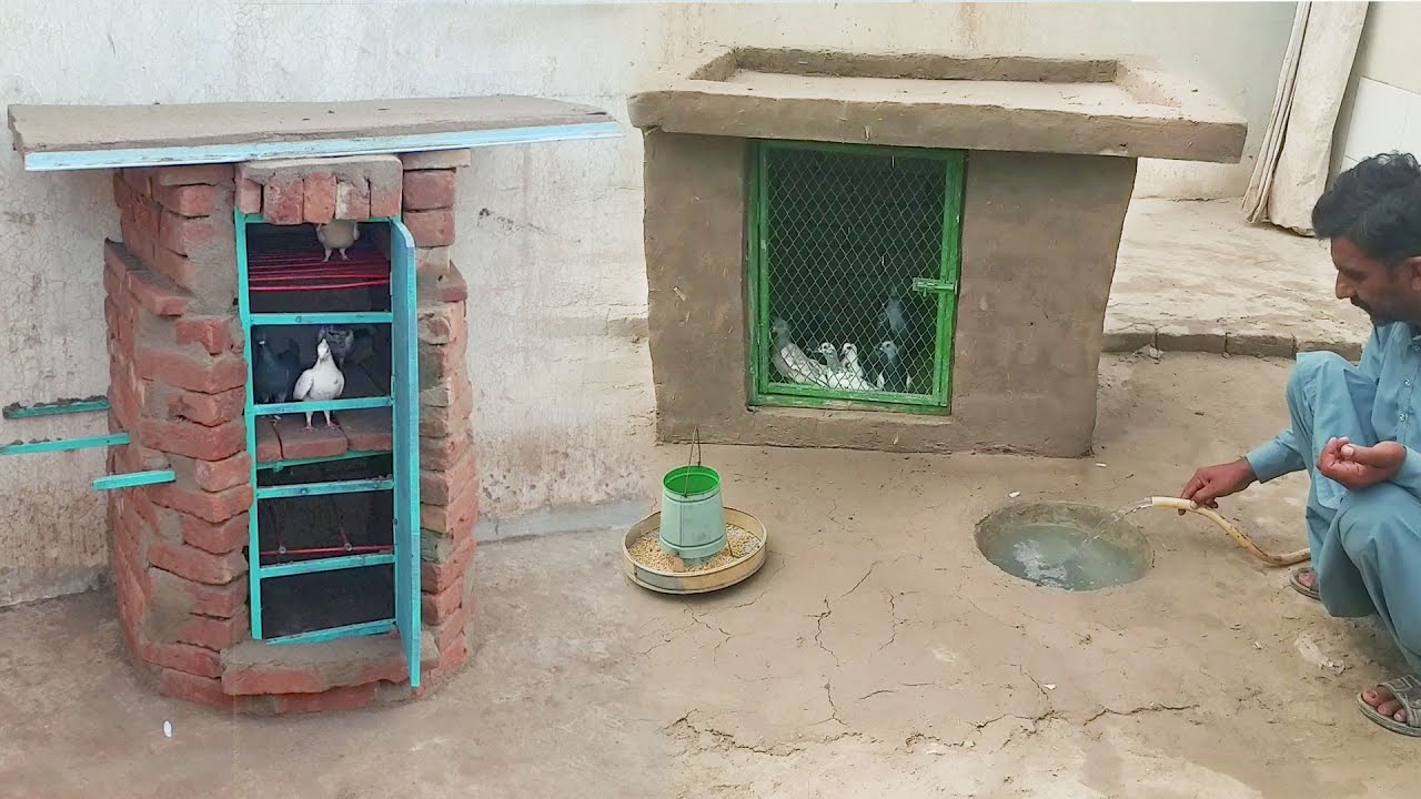 Top 4 Pigeon House construction Videos - YouTube