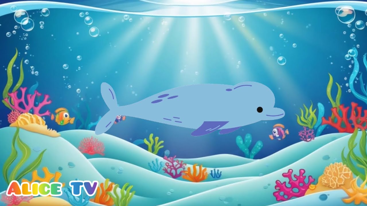 Little Dolphin Dances in the Ocean Blue / Alice TV - YouTube
