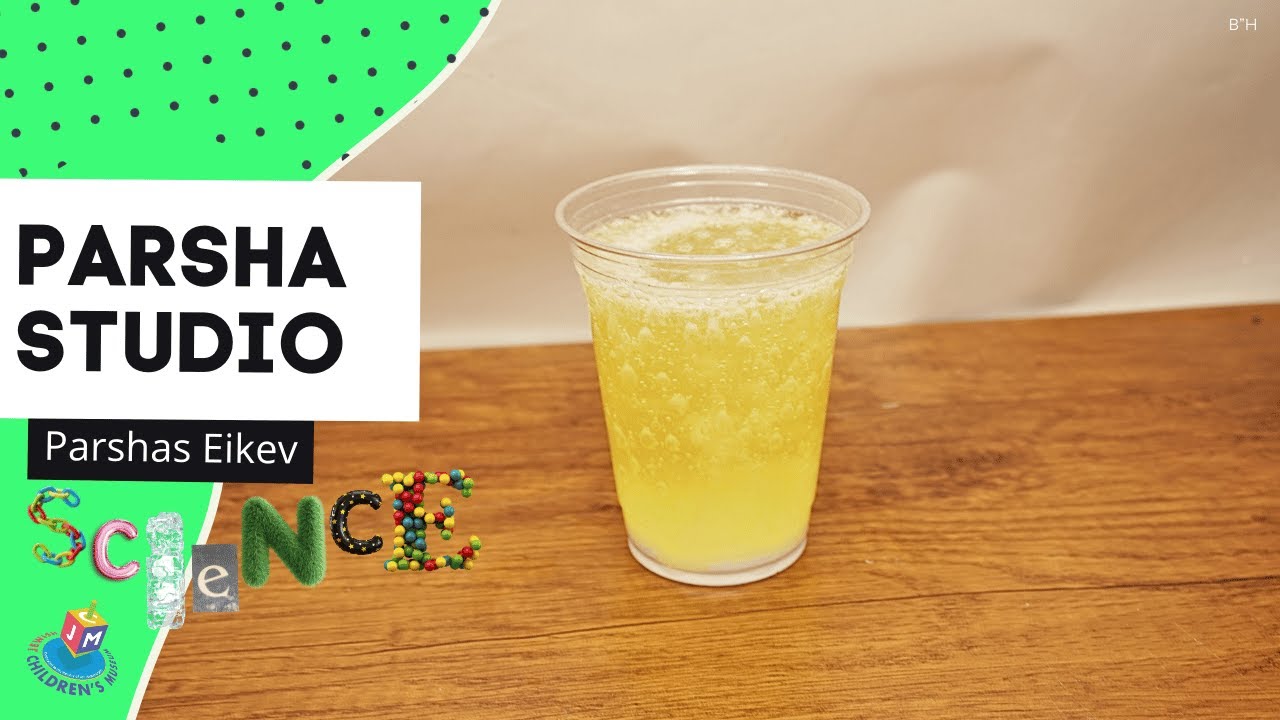 "Eretz Yisrael Where Milk&Honey Flows" Parsha Studio ~ Parshas Eikev ...