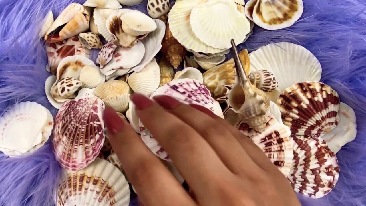 ASMR SEASHELL SOUNDS - YouTube