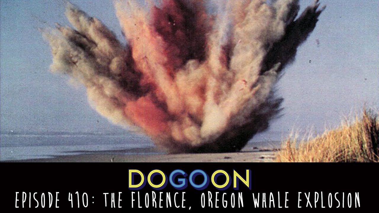410 - The Exploding Whale of Florence Oregon (with NICK MASON) - YouTube