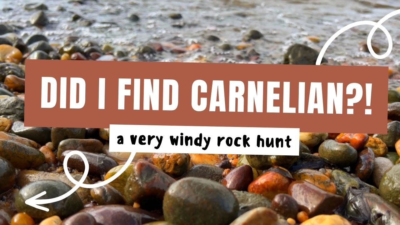 WINDY ROCK HUNT | Hunting for Carnelian on the Delaware River - YouTube