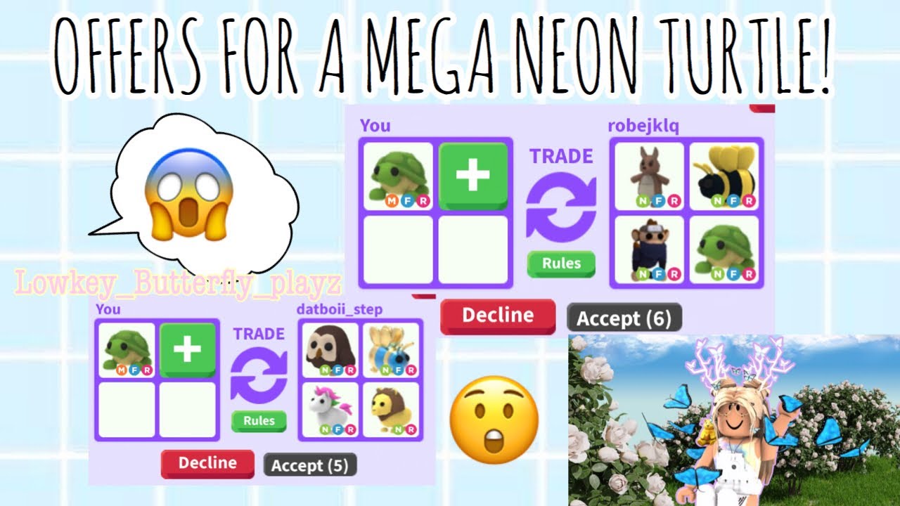 SEEING OFFERS FOR MEGA FLY RIDE TURTLE! - YouTube