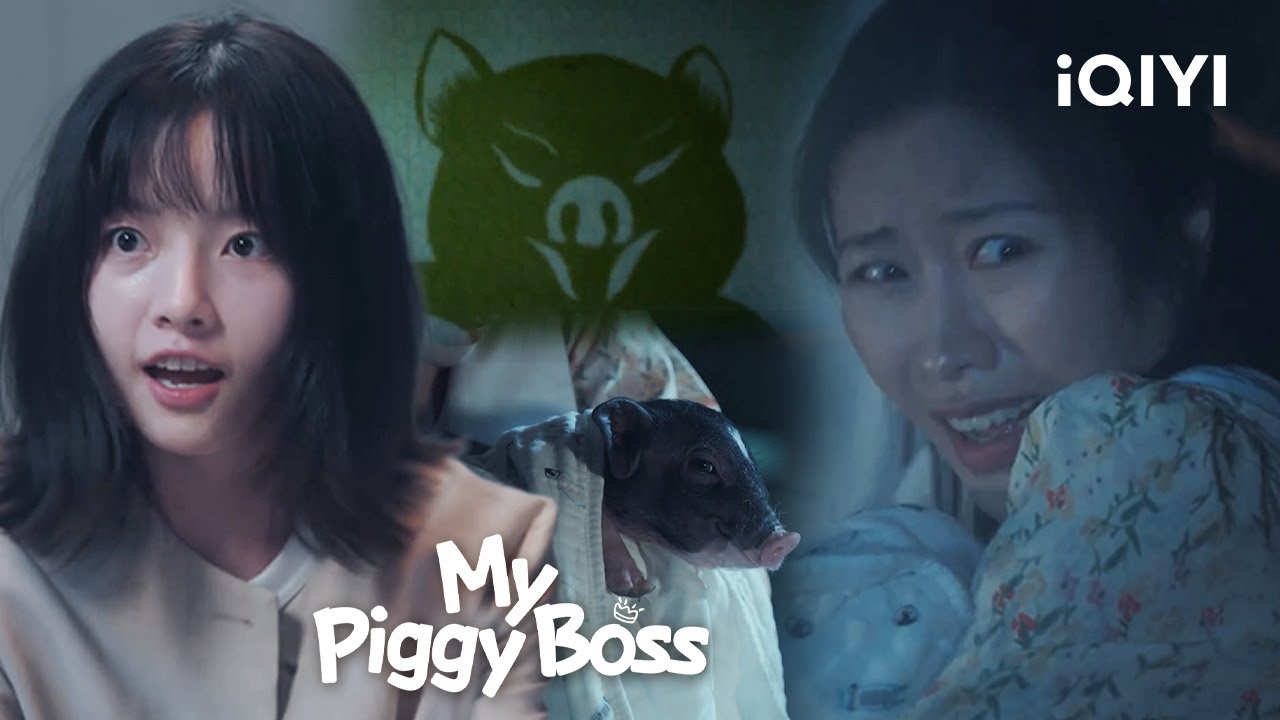 Boss’s mother tells the story of why she turned into a pig🤣 | My Piggy ...