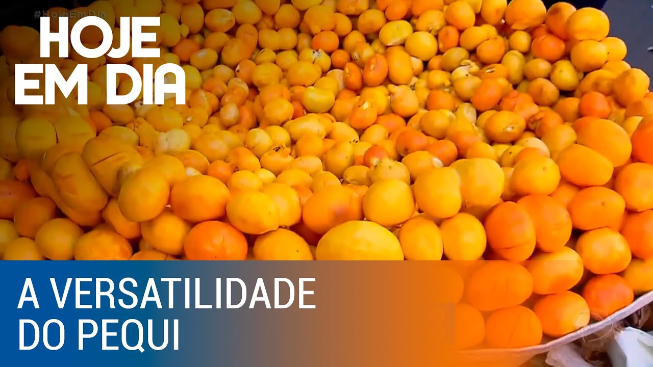 Do Meu Brasil mostra como o pequi é apreciado no cardápio goiano - YouTube