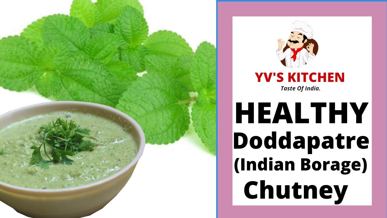 Healthy DoddaPathre Chutney | Indian borage | Recipe | English Sub ...