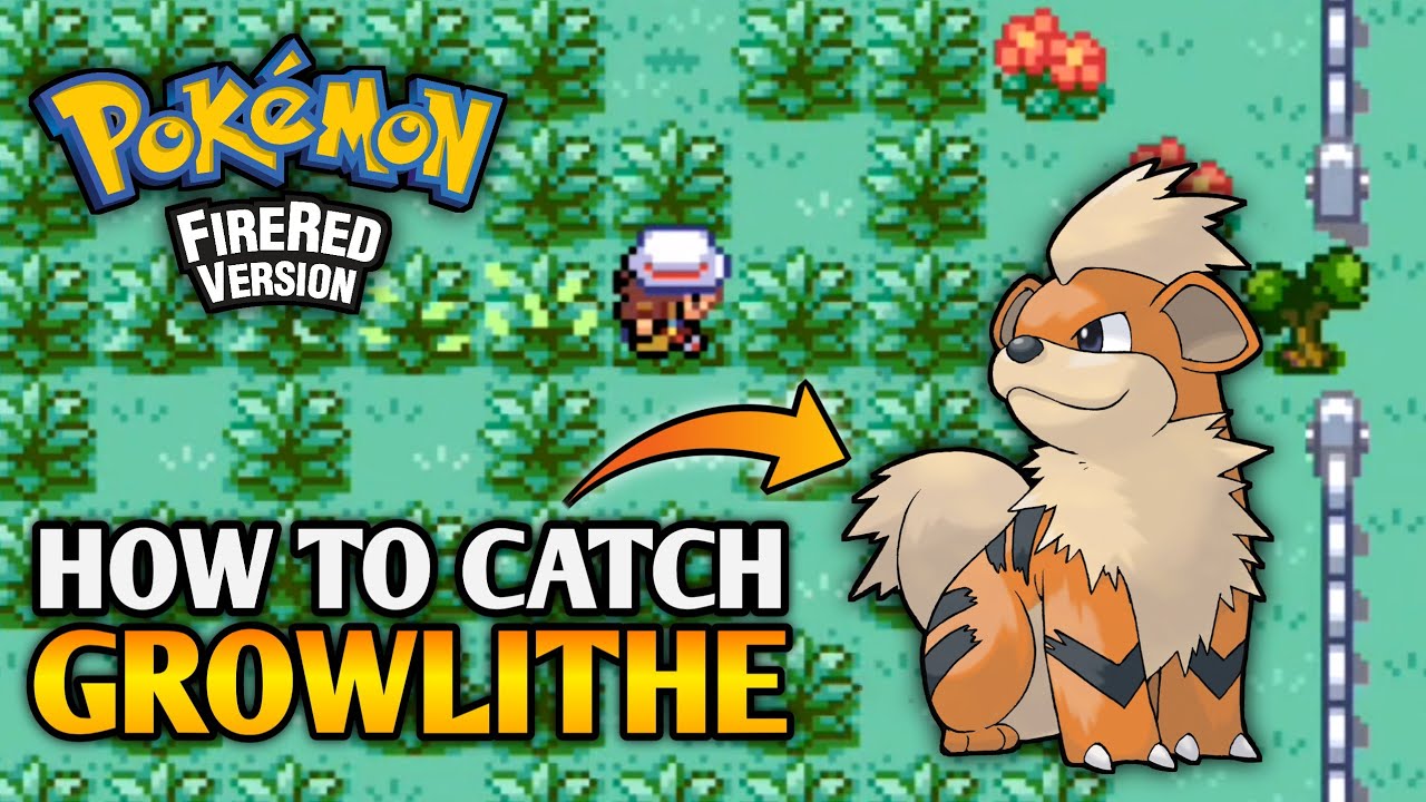 How To Catch Growlithe In Pokemon Fire Red | Kanto Region - YouTube