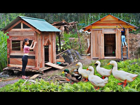 2 years living in the forest P2: build a house, make a farm, bring vegetables to the market to sell