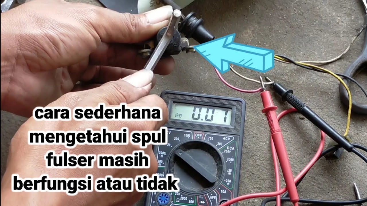 Cara membedakan antara fulser yang masih hidup atau sudah mati - YouTube