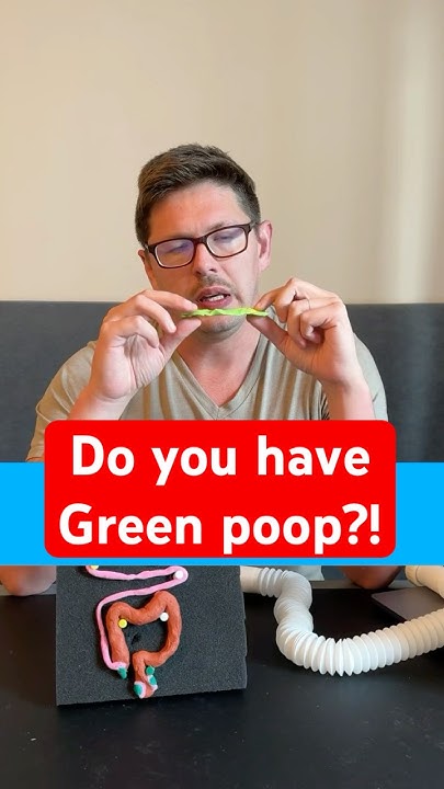 Bile Acid Malabsorption - The Cause and stool diagnosis - YouTube