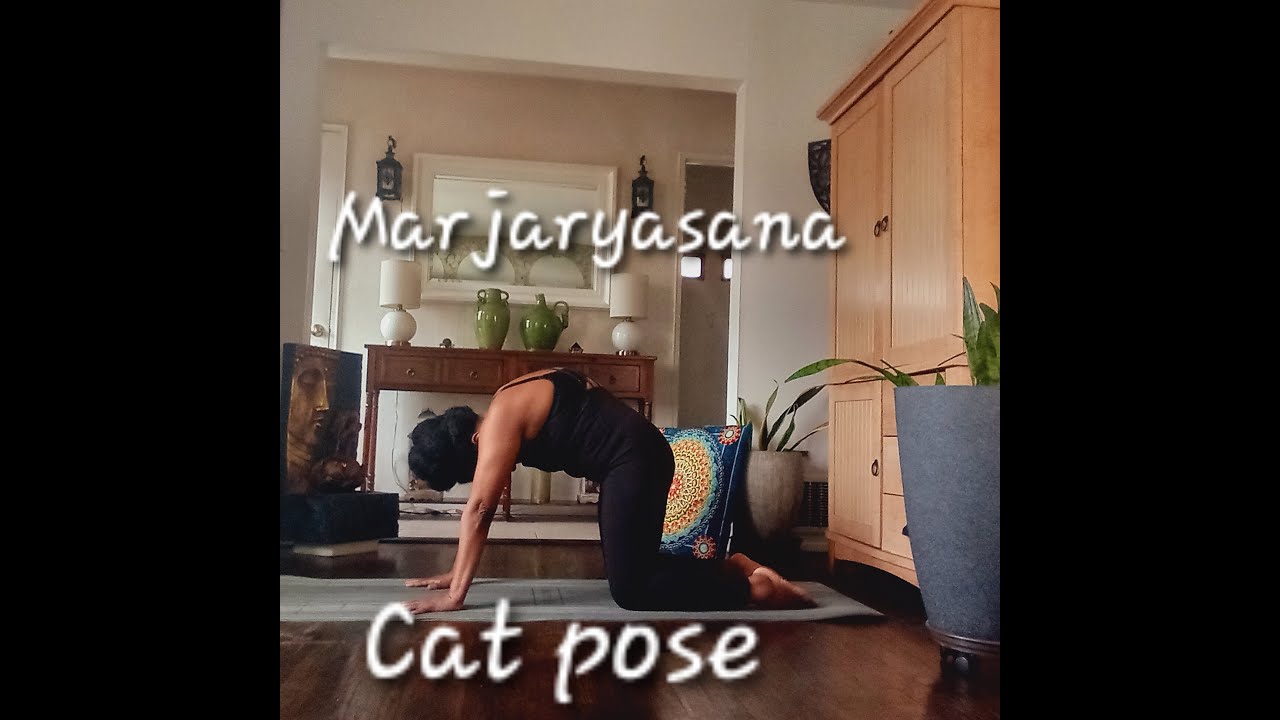 30th Yoga Asana Cat Pose , Marjaryasana - YouTube