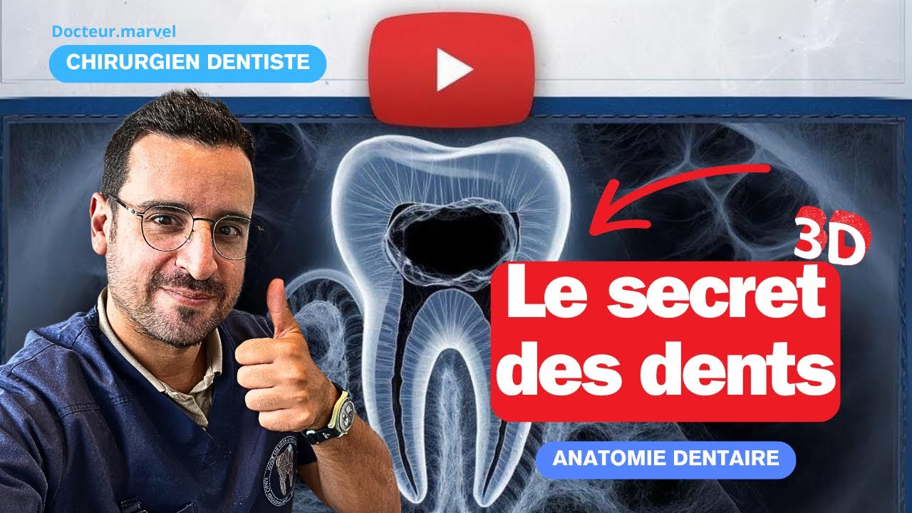 Le SECRET des DENTS : le NERF dentaire - YouTube