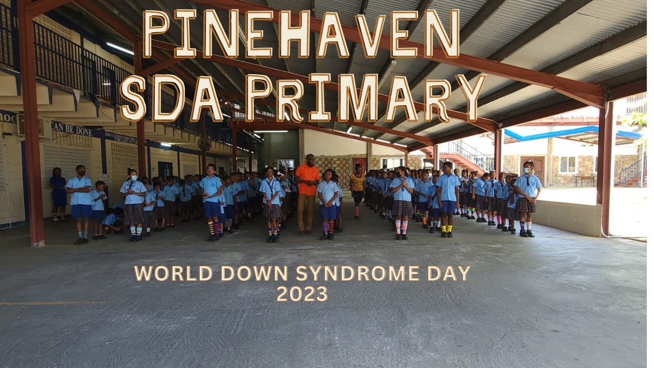 Pinehaven SDA Primary School - World Down Syndrome Day - YouTube