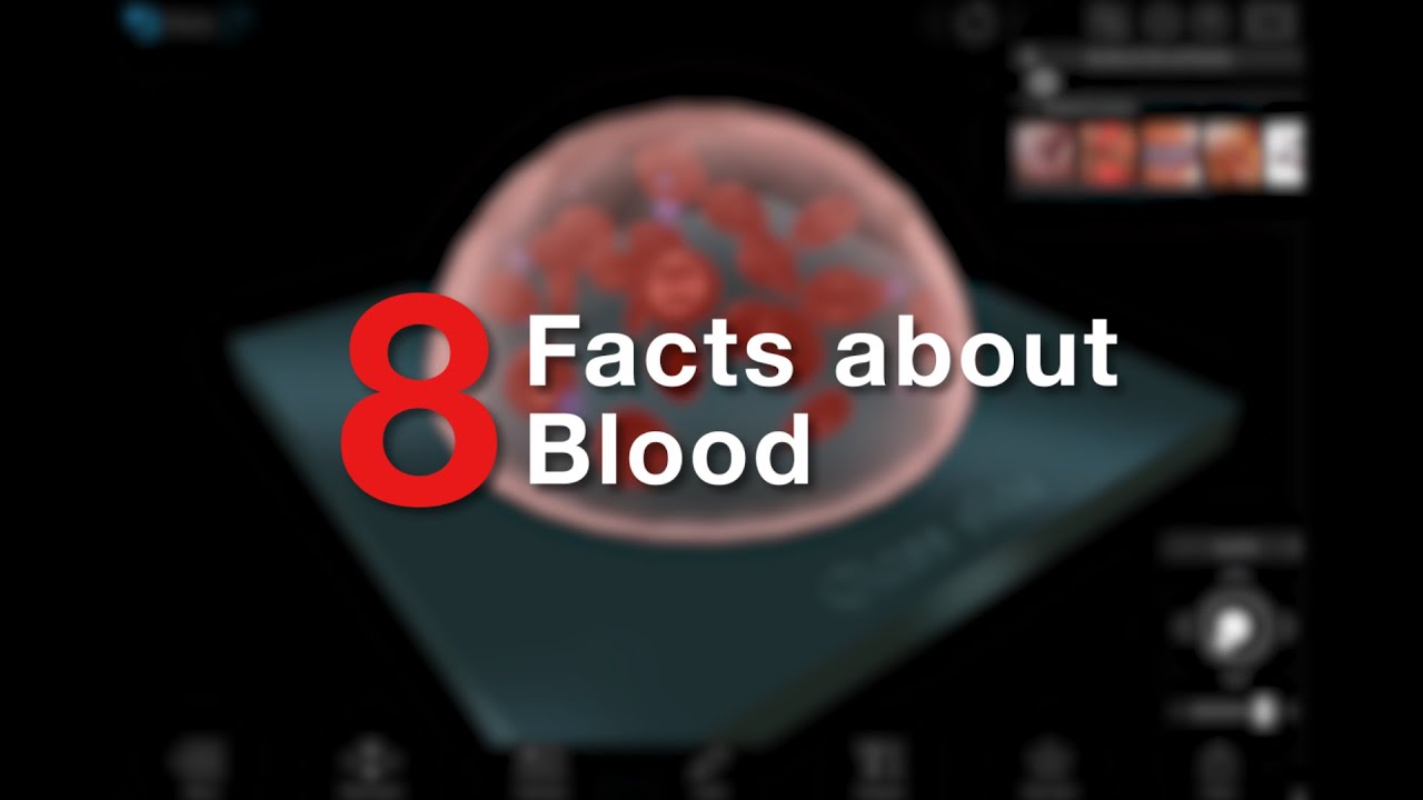 Visible Body | Learn: 8 Facts about Blood - YouTube