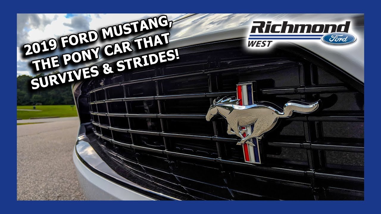 2019 Ford Mustang Review: The BEST Mustang Ever - YouTube