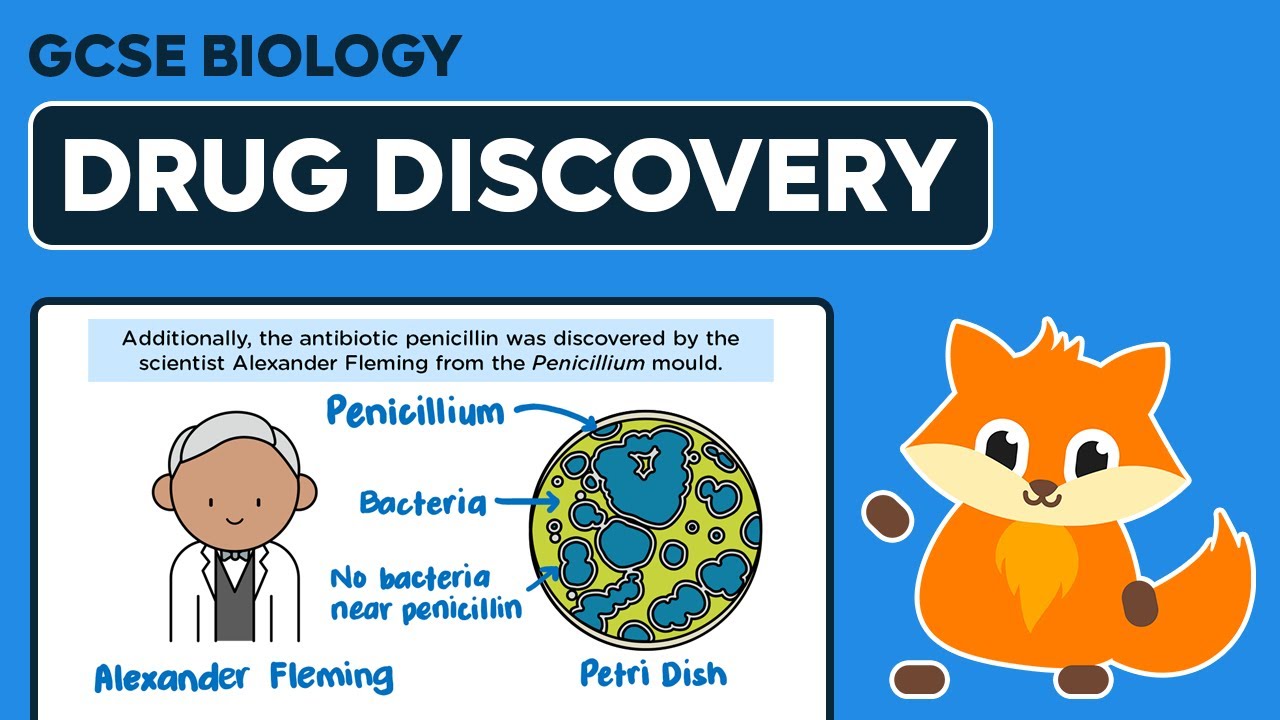 Drug Discovery - GCSE Biology - YouTube