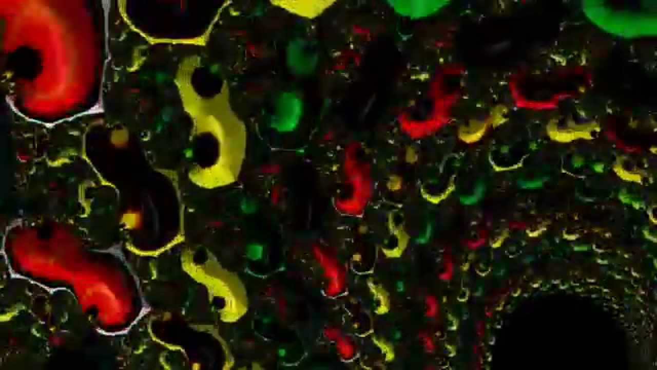 Dubstep fractal animation - YouTube