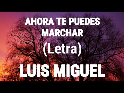 Luis Miguel - Ahora Te Puedes Marchar (Letra) - YouTube