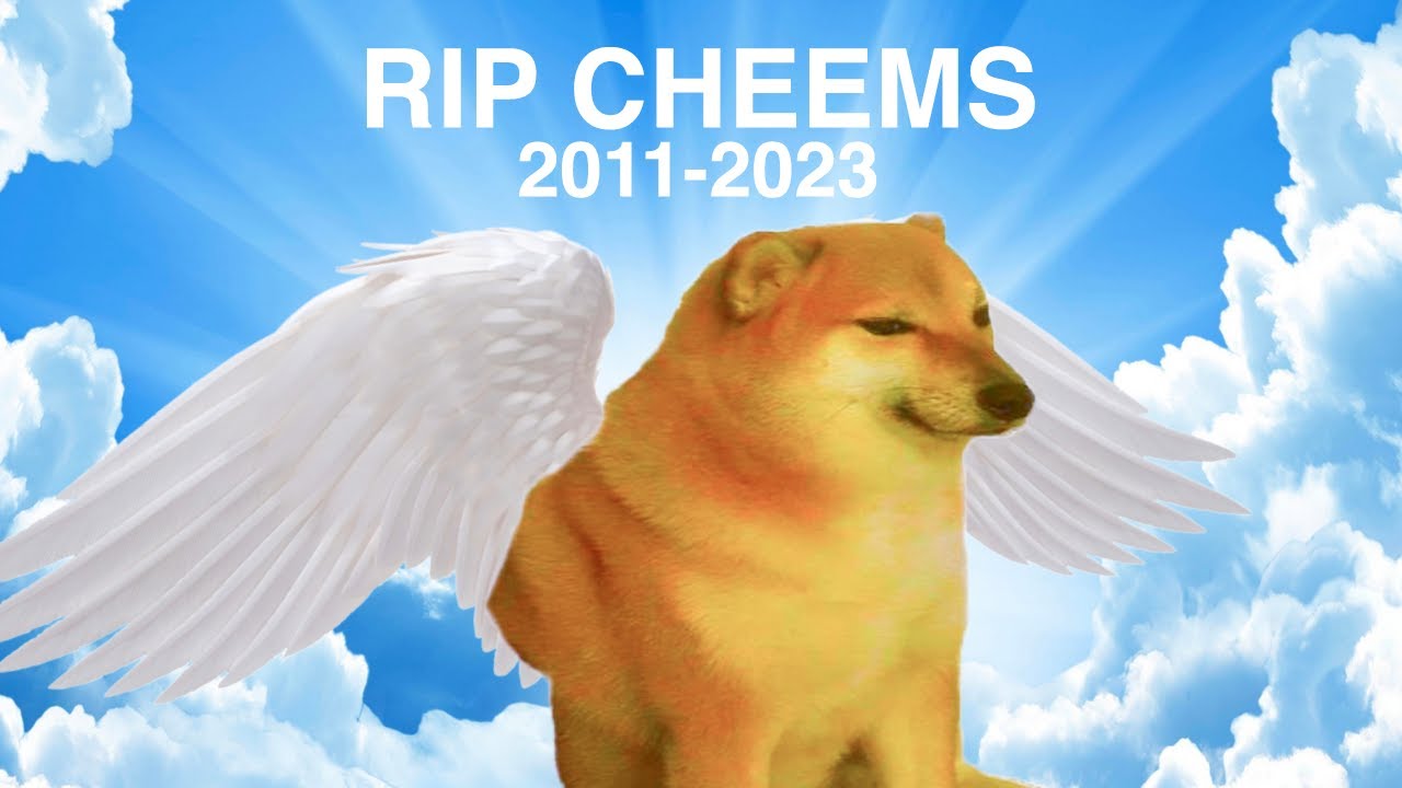 Rip Cheems (Balltze) | What happened to Cheems? - YouTube