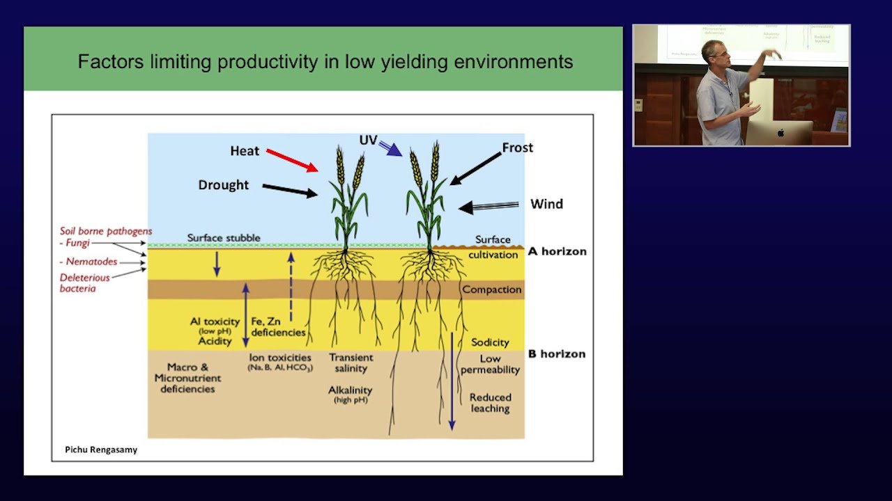 KAUST Professor of Plant Science Mark Tester talks about salinity ...