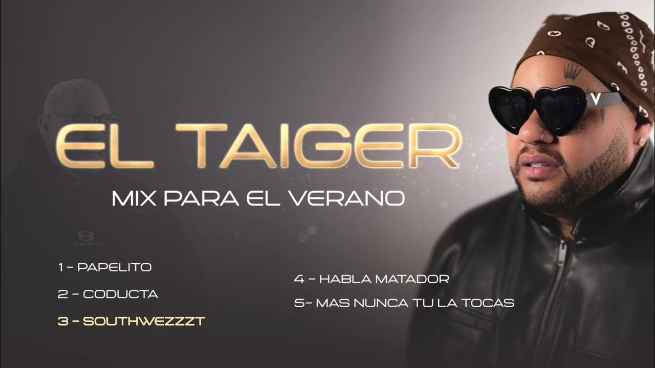 El Taiger - Mix Verano 2024 (Oficial) - YouTube