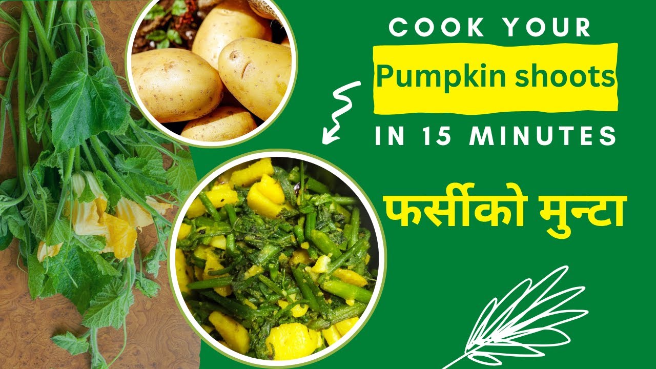 Farsiko munta Aloo ko tarkari | Pumpkin Shoots recipe |Farsiko munta ...