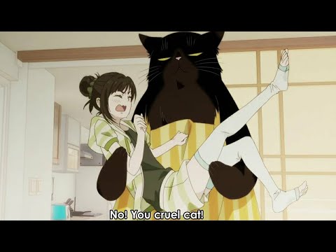 Yukichi Carried Saku To Measure Her Weight - The Masterful Cat Is ...