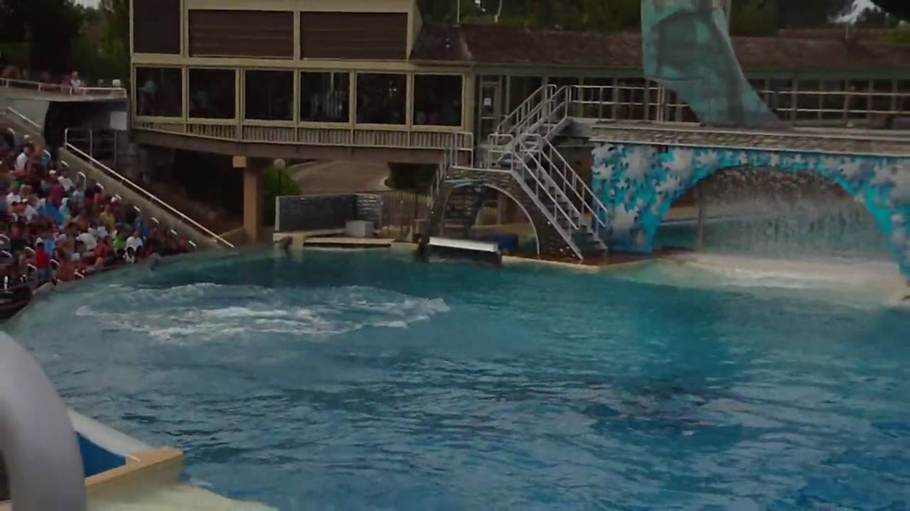 SeaWorld San Diego Shamu Believe Show 2009 Part 1of 3 in HD - YouTube