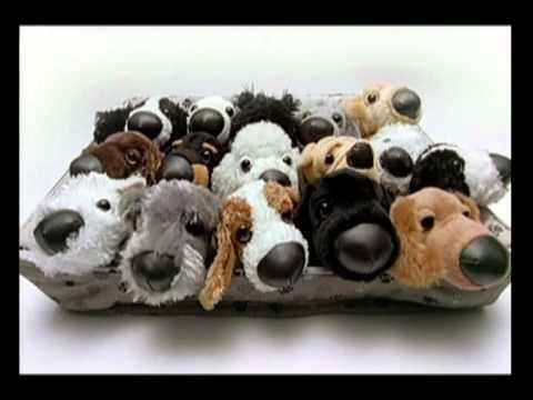 The Dog Collection Russia - YouTube