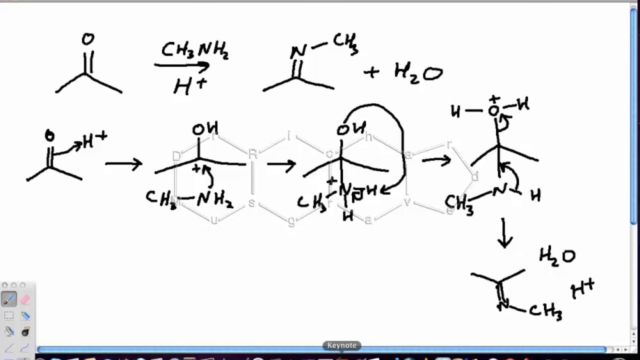 Primary Amine Addition Elimination Reactions - YouTube