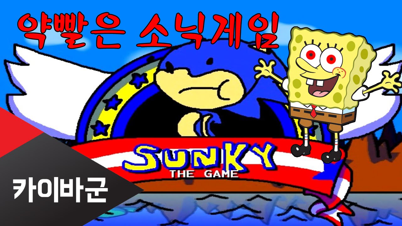 [카이바군] 정신나간 약빨은 소닉게임 동심파괴 - Sunky.MPEG - YouTube
