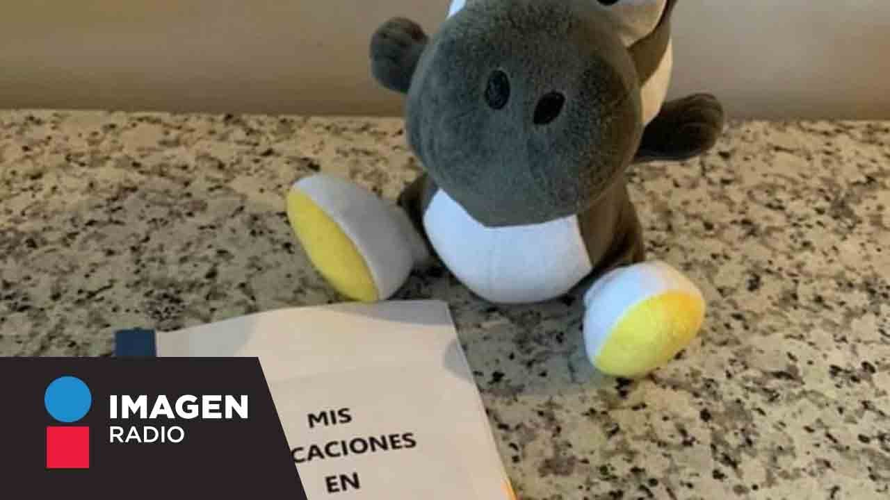 Olvidan por error a 'Yoshi' en hotel; así fue su fabuloso hospedaje ...