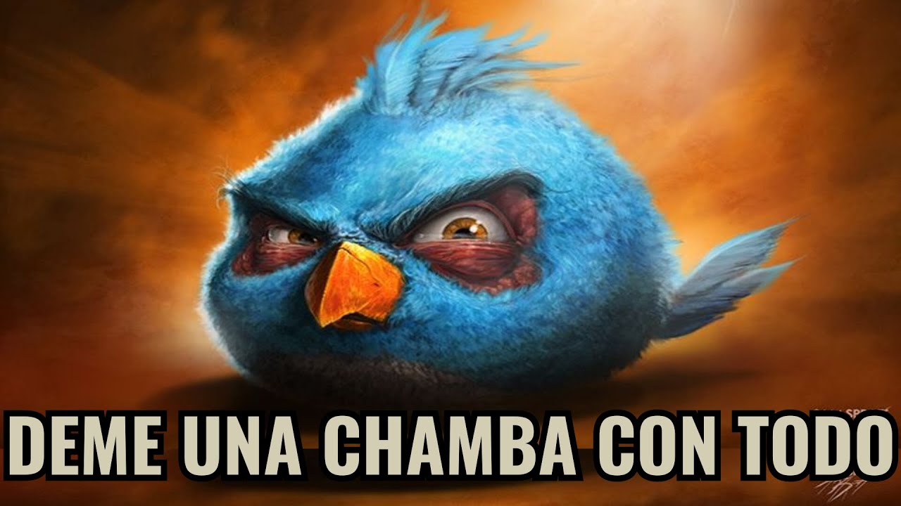 SHITPOSTING COMPILATION 14 - MEMES MUY RANDOM XD - YouTube