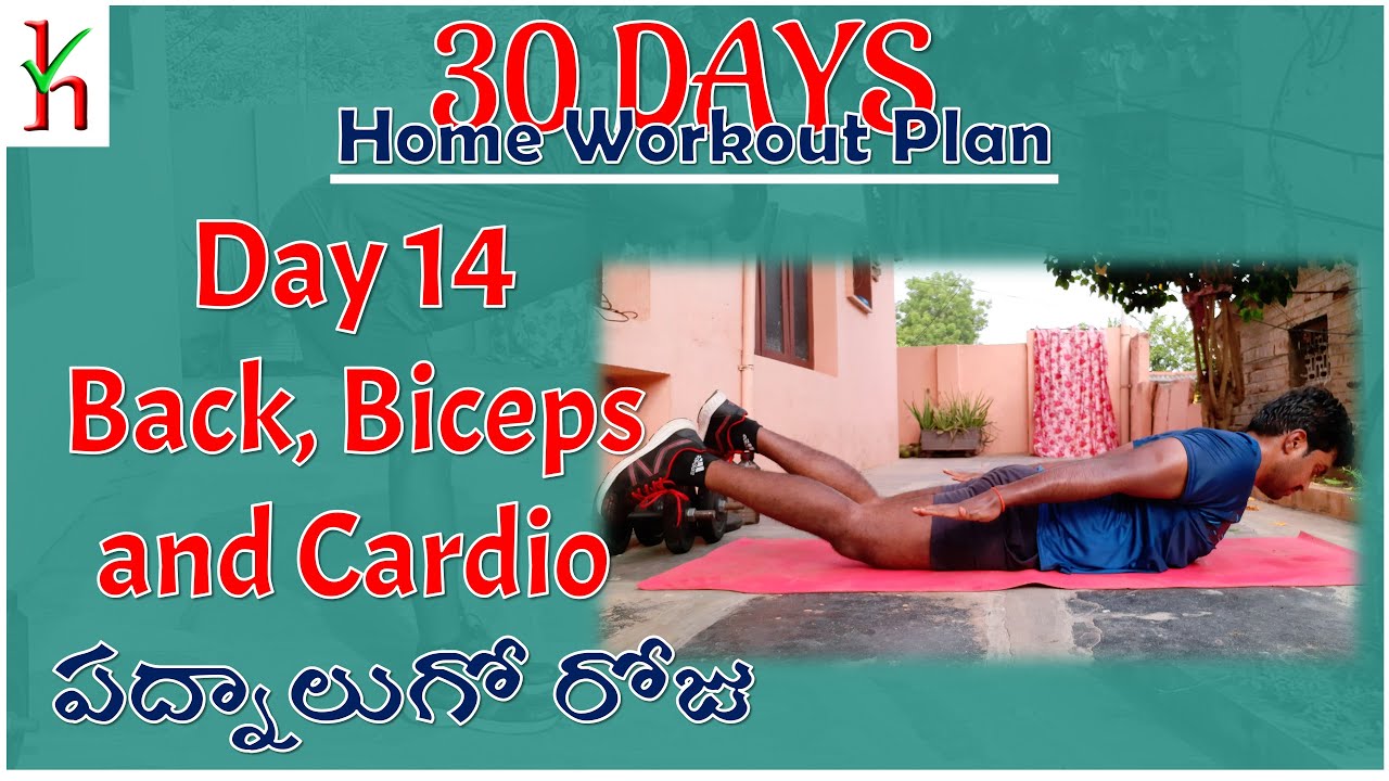 30 Days Home Workout Plan | Day - 14 Back, Biceps and Cardio ...