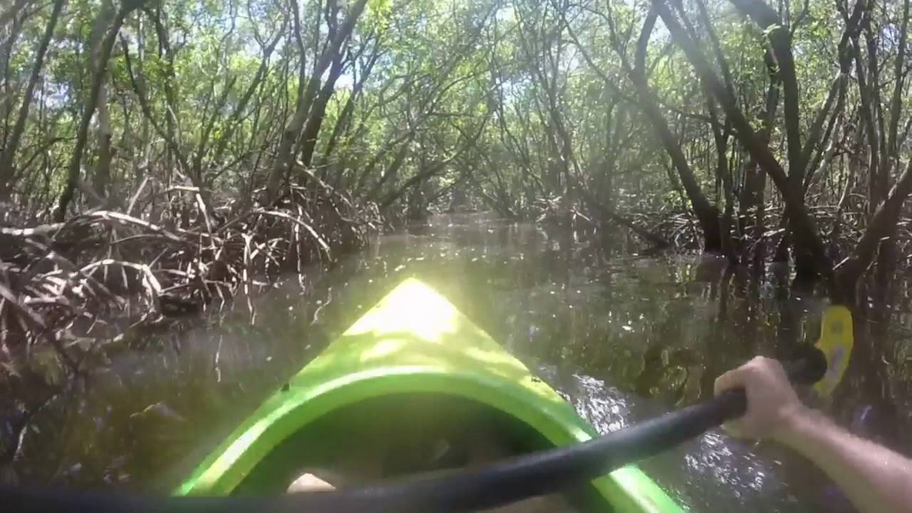 GoPro - Caladesi Island & Weedon Island Kayaking - Clearwater, FL - YouTube