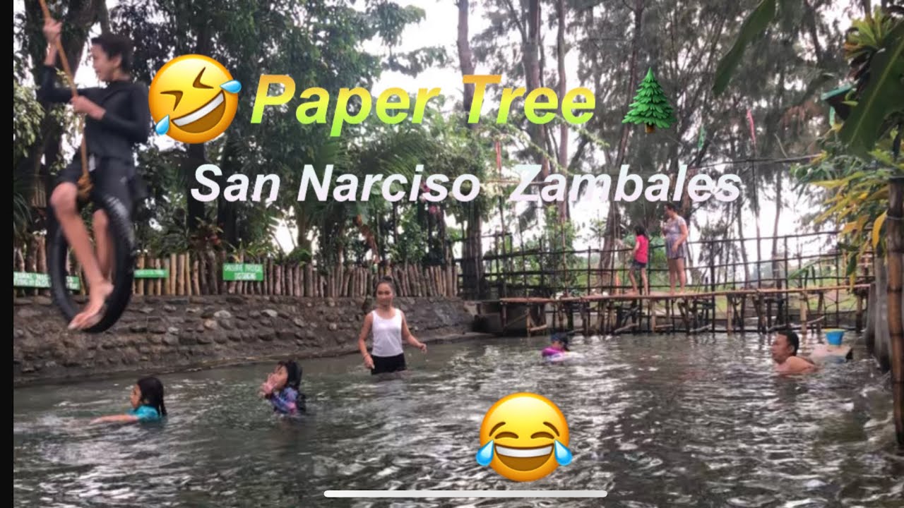Paper Tree | San Narciso Zambales 😂 - YouTube