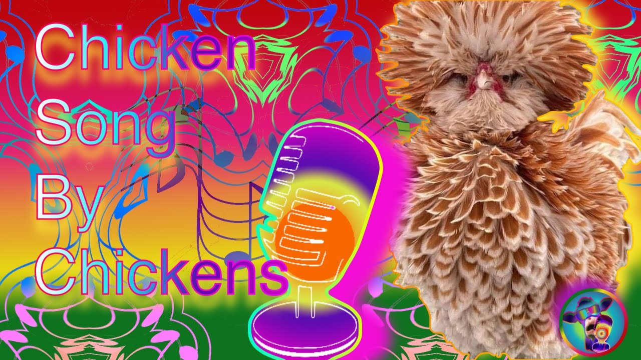 Chicken Song - By Chickens - YouTube