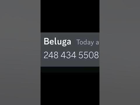 248-434-5508 - YouTube