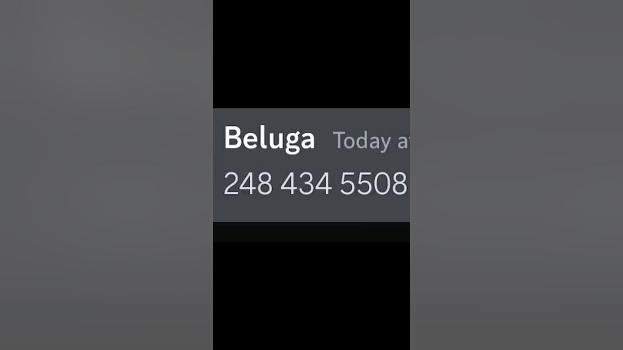 248-434-5508 - YouTube