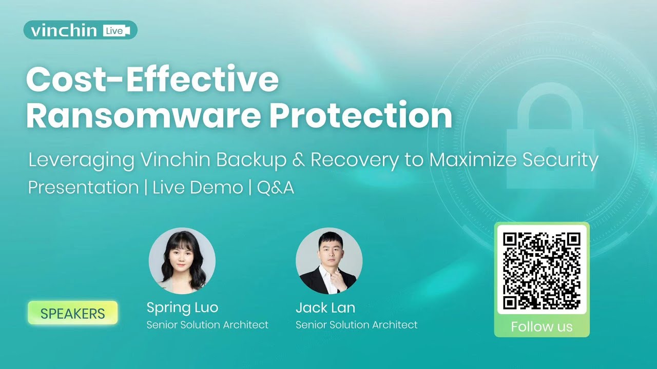 Cost-Effective Ransomware Protection: Leveraging Vinchin Backup ...